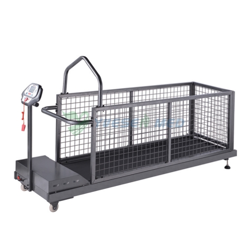 YSVET-TM400W Animal Treadmill Vet Treadmill