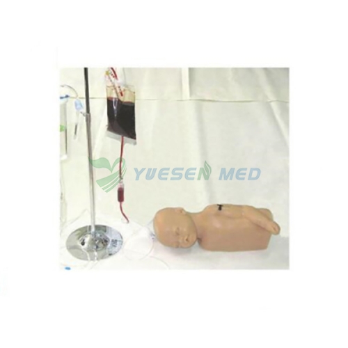 Infant head and arm venipuncture injection model YSBIX-HS6-2